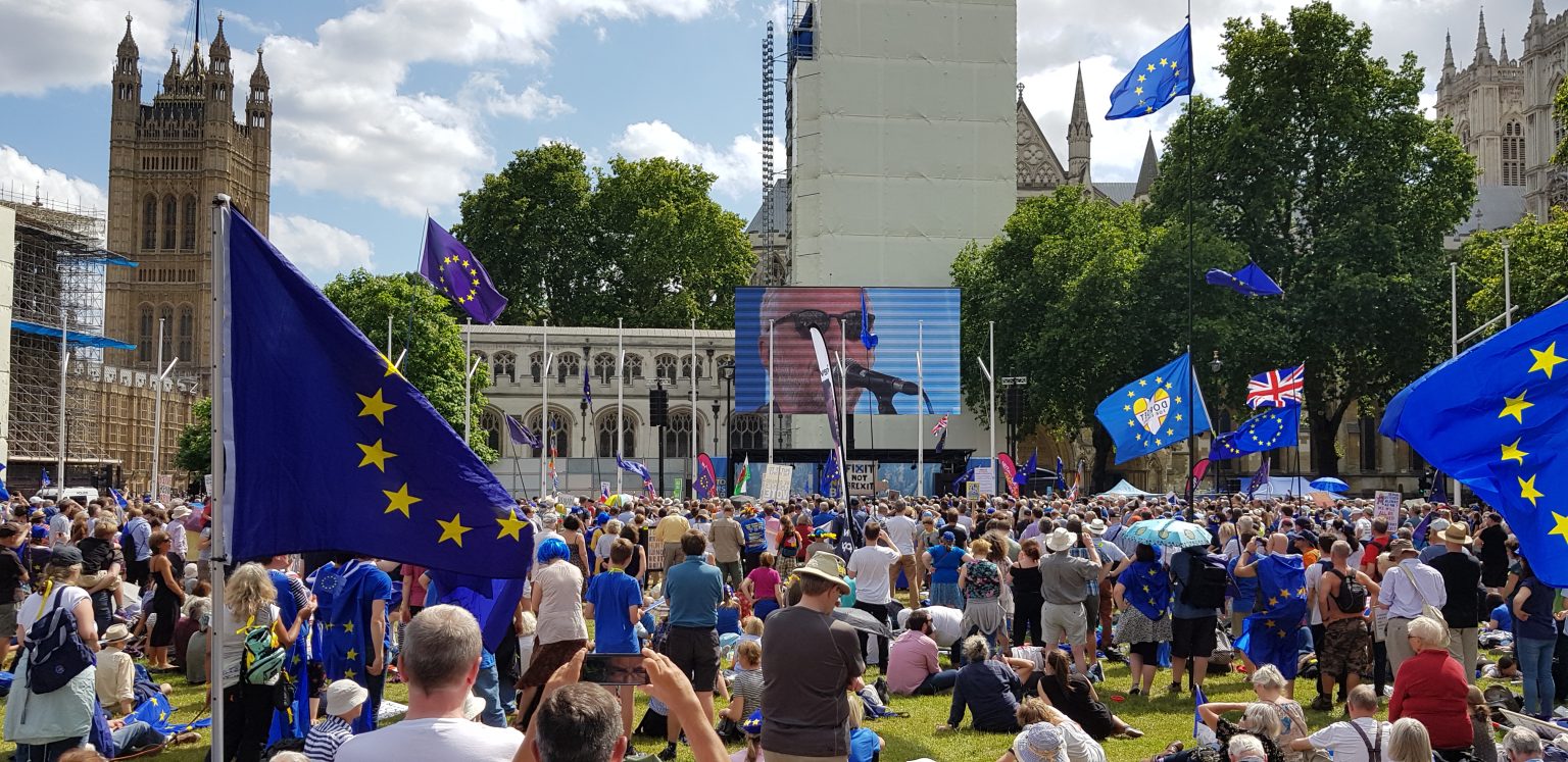 About us - The Rejoin EU Party