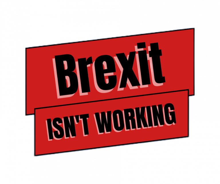 General Election 2024 - The Rejoin EU Party